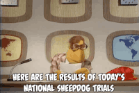 Muppet news flash GIFs - Get the best gif on GIFER