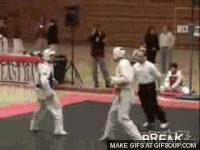 Black belt GIFs - Get the best gif on GIFER
