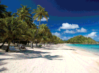 Insel GIFs - Get the best gif on GIFER
