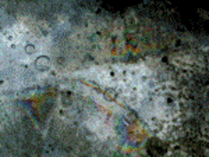 Fractures GIF - Conseguir el mejor gif en GIFER