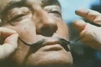 Mustache GIFs - Get the best gif on GIFER