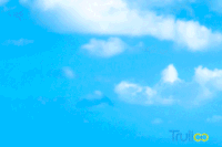 Compliance GIFs - Get the best gif on GIFER