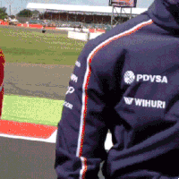 Fernando alonso GIF - Conseguir el mejor gif en GIFER