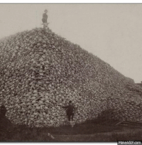 Slaughter GIFs - Get the best gif on GIFER