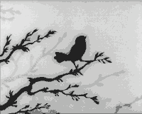 Nightingale GIFs - Get the best gif on GIFER