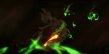 Cyberloafing гифки, анимированные GIF изображения cyberloafing ...