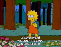 Springtime GIFs - Get the best gif on GIFER