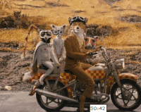 Distance GIFs - Get the best gif on GIFER