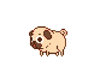 Pug GIFs - Get the best gif on GIFER