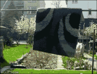 Carpet GIFs - Get the best gif on GIFER