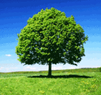 Ecology GIFs - Get the best gif on GIFER