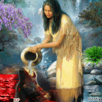 Native GIFs - Get the best gif on GIFER