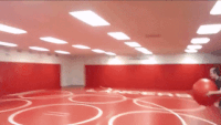 Impacto GIFs - Get the best gif on GIFER