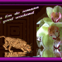 Bfs GIFs - Get the best gif on GIFER