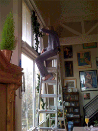 Loft GIFs - Get the best gif on GIFER