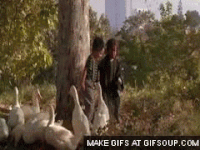 Rascal GIFs - Get the best gif on GIFER