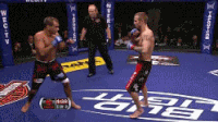 Rameses GIFs - Get the best gif on GIFER