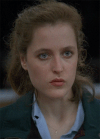 Frazzled GIFs - Get the best gif on GIFER