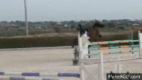 Showjumping GIFs - Get the best gif on GIFER
