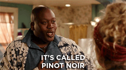 Pinot GIFs - Get the best gif on GIFER