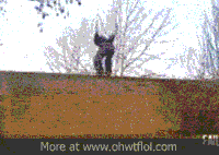 Neurosis GIFs - Get the best gif on GIFER