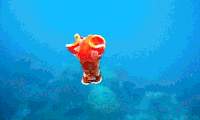 Mollusk GIFs - Get the best gif on GIFER