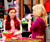 Sam cat GIFs - Get the best gif on GIFER