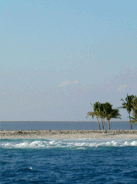 150 GIFs - Get the best gif on GIFER