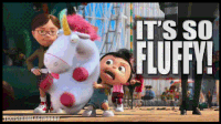 Fluffy GIFs - Get the best gif on GIFER