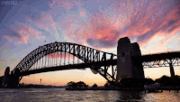 Sydney GIFs - Get the best gif on GIFER