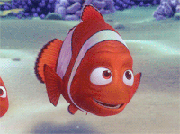 Improve GIFs - Get the best gif on GIFER