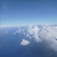 Flights GIFs - Obtenez le meilleur gif sur GIFER