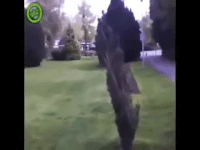 Limbs GIFs - Get the best gif on GIFER