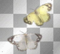 Model behavior GIFs - Get the best gif on GIFER