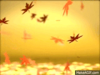Leaves GIFs - Get the best gif on GIFER