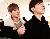 Han lee GIFs - Get the best gif on GIFER