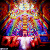 Dmt GIFs - Get the best gif on GIFER