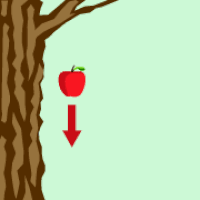 Newton GIFs - Get the best gif on GIFER