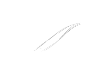 Wing GIFs - Get the best gif on GIFER