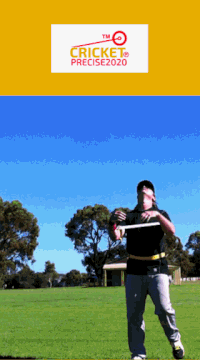 Precise GIFs - Get the best gif on GIFER