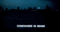 Miami GIFs - Get the best gif on GIFER