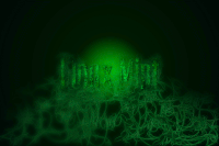 Mint GIFs - Get the best gif on GIFER