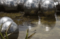 Lobbying GIFs - Get the best gif on GIFER