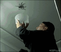 Ceiling GIFs - Get the best gif on GIFER