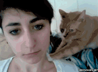 Pointy GIFs - Get the best gif on GIFER