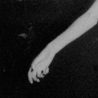 Cropped GIFs - Get the best gif on GIFER