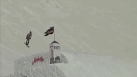 Aerodynamics GIFs - Get the best gif on GIFER