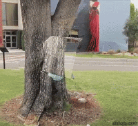 Reveals гифки, анимированные GIF изображения reveals - скачать гиф ...