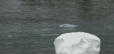 Emerging GIFs - Get the best gif on GIFER