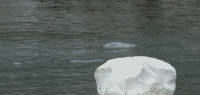 Emerging GIFs - Get the best gif on GIFER